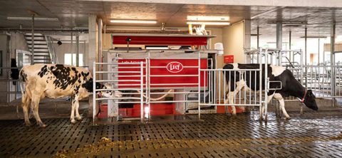 Robotic Milking South Australia, Lely dealer for milk robots