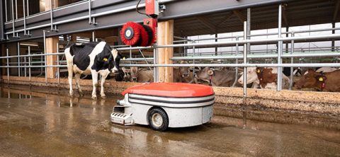 Robotic Milking South Australia, Lely dealer for milk robots